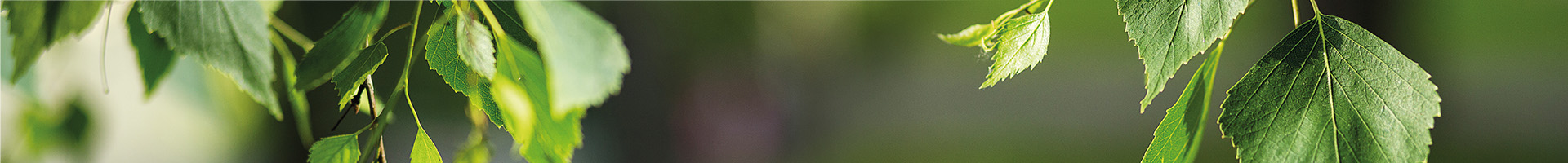 Locking Elements | Finnsa Online Shop - Accessories